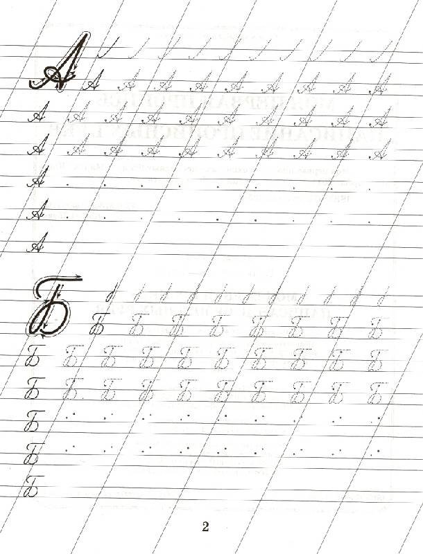  49 